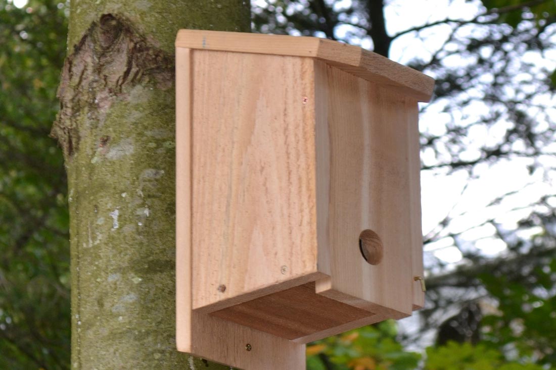 Prepare Your Wild Bird Shelters for Winter Tenants | Lyric Wild Bird Food